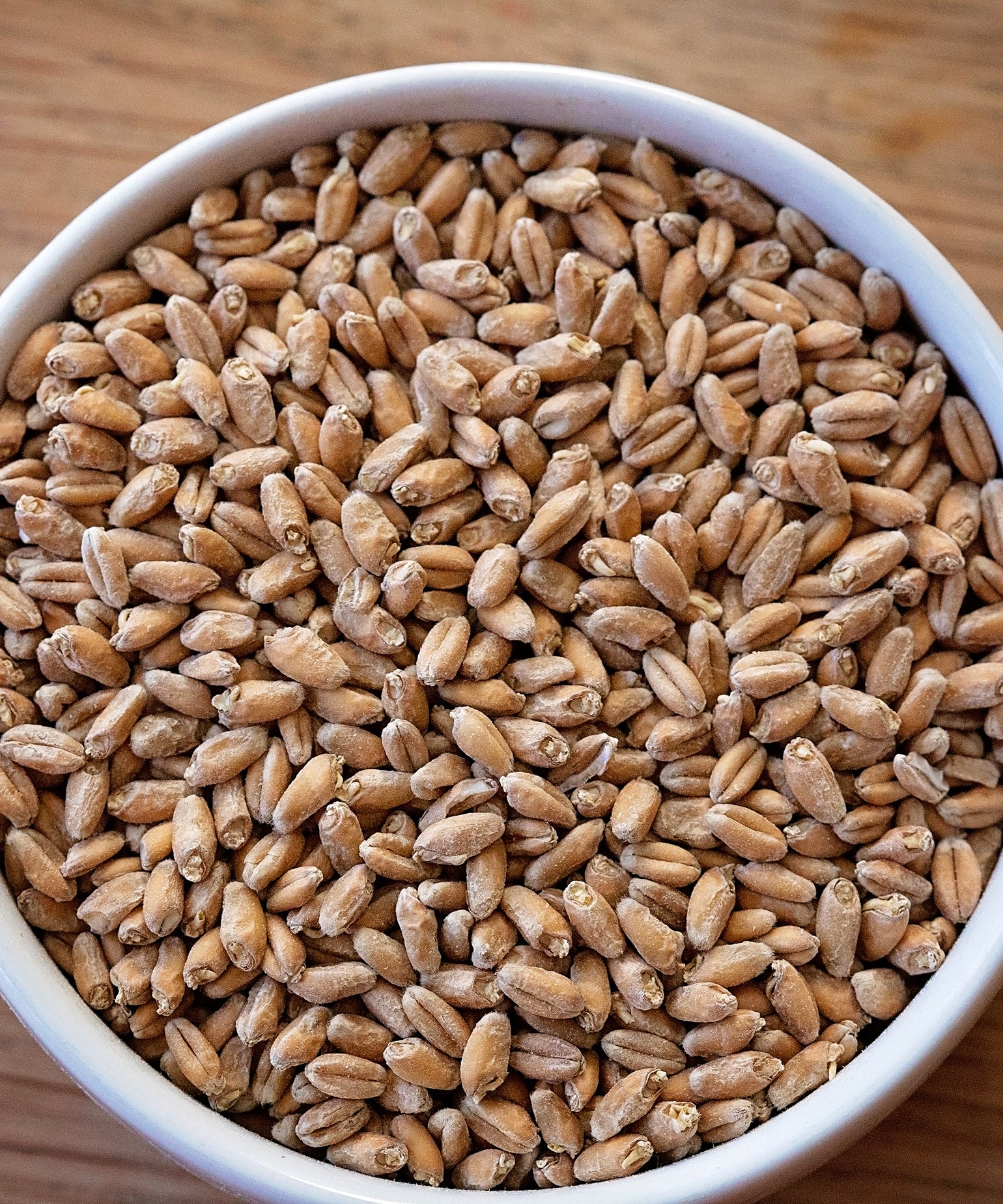 Ground Up Grain: Fresh, Stone-Milled, Northeast-Grown Flour & Grains